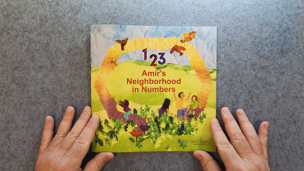 Amir’s Custom Counting Capers: Numbers Come Alive! – First Time Books